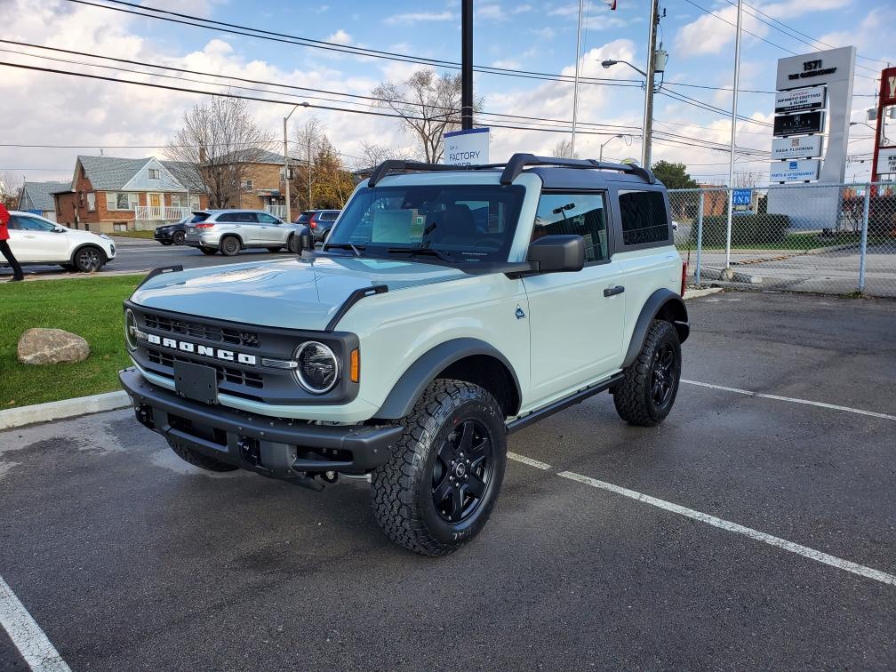 Can anyone with a Black Diamond confirm all of the blue accents ...
