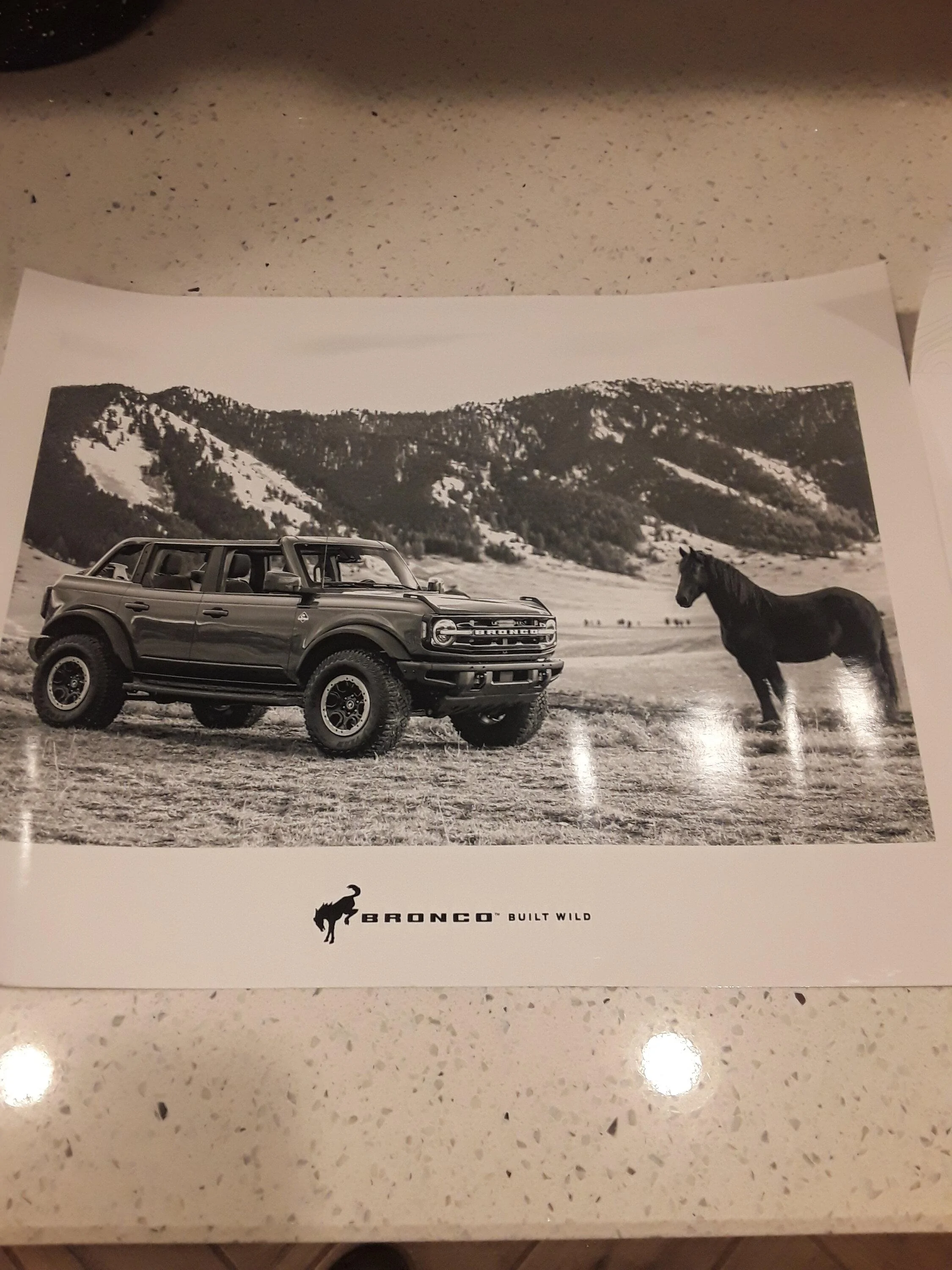 Anyone get this poster in the mail? | Bronco6G - 2021+ Ford Bronco ...