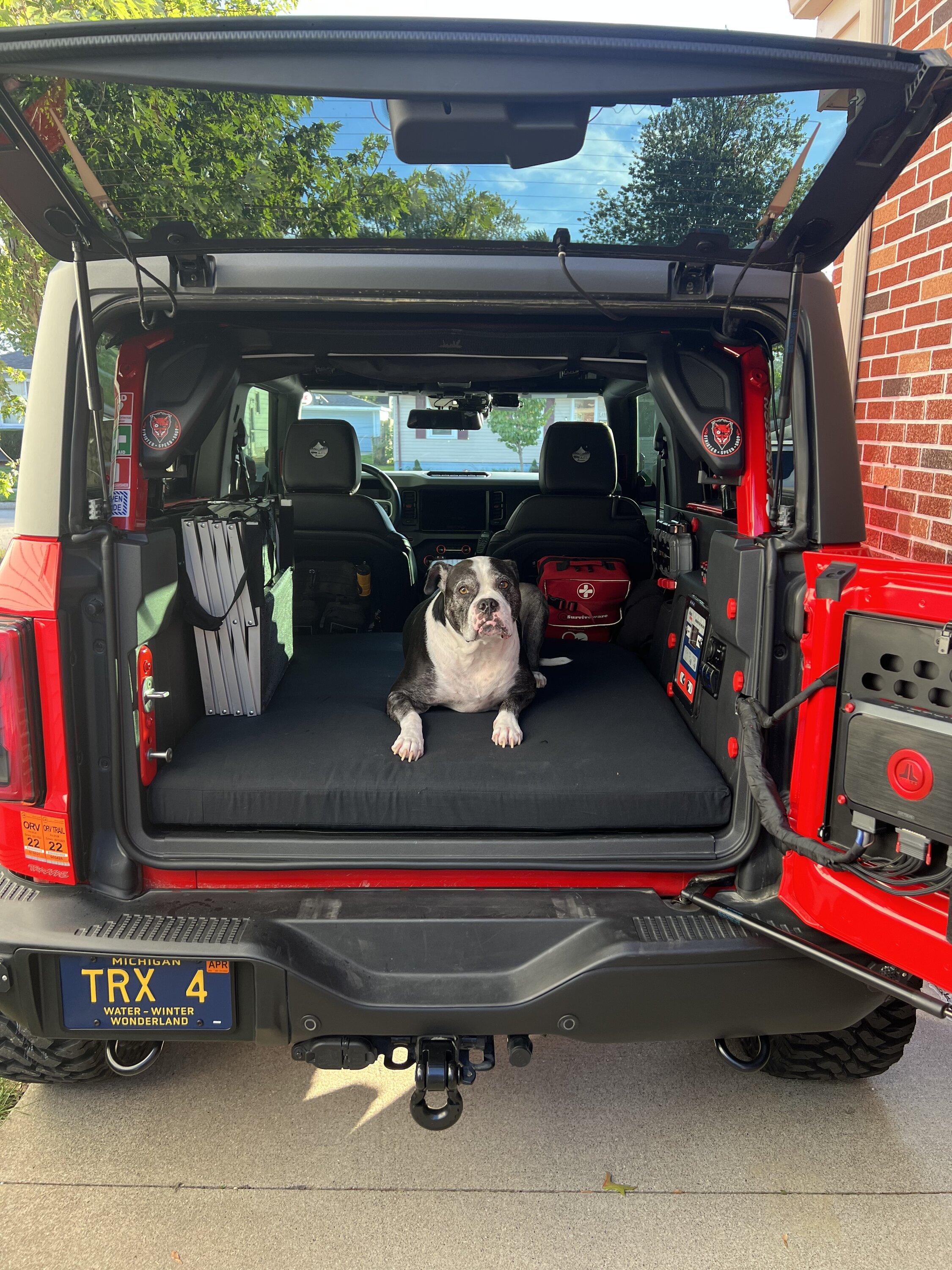 Dog approved bronco steps, stairs, ramps, carriers | Bronco6G - 2021 ...