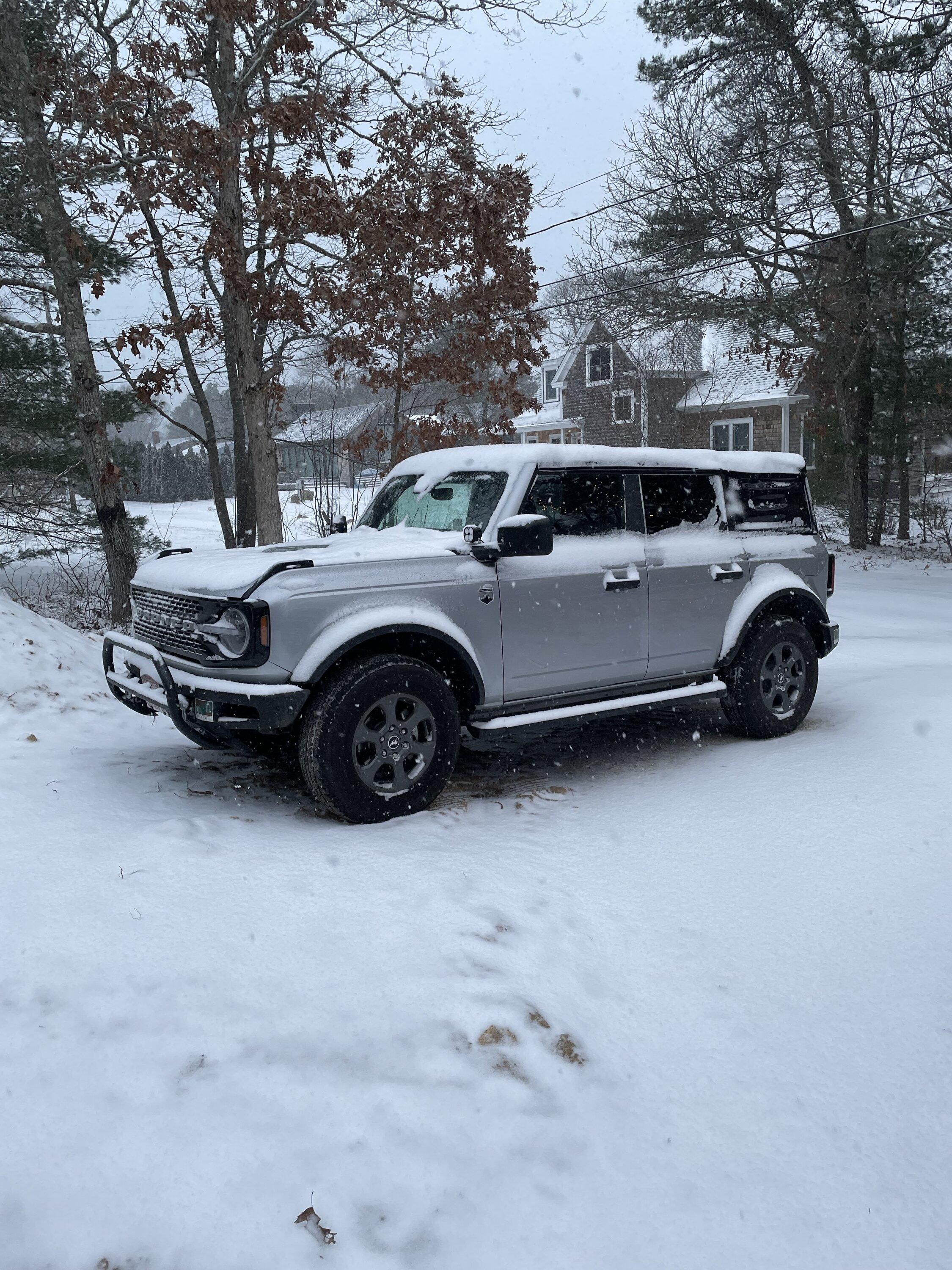 Bronco meets cow (not in a good way) | Page 2 | Bronco6G - 2021+ Ford ...
