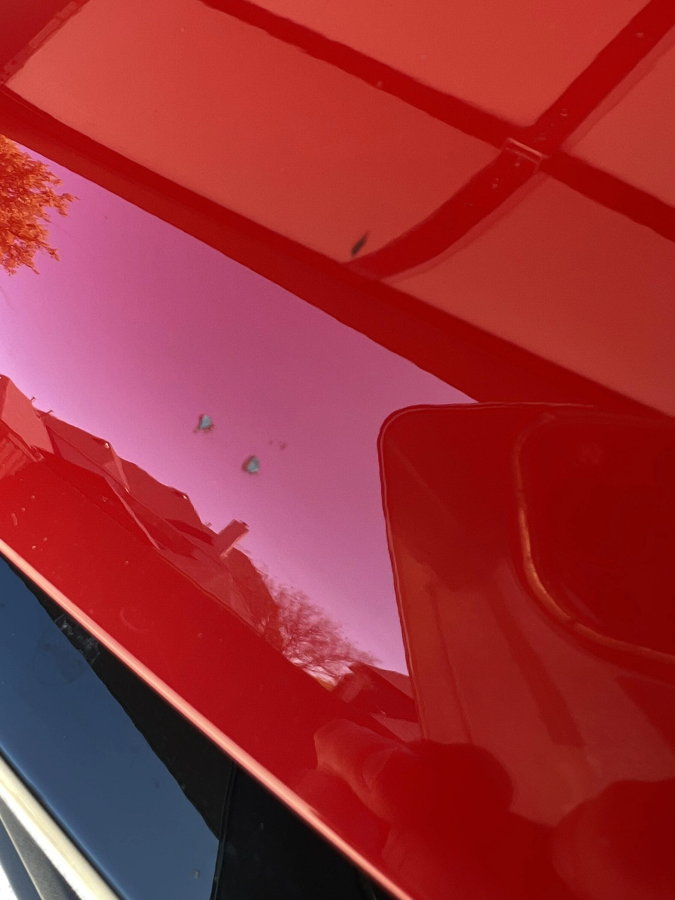 Rock chips on hood -- how to repair small rock chips in the paint ...