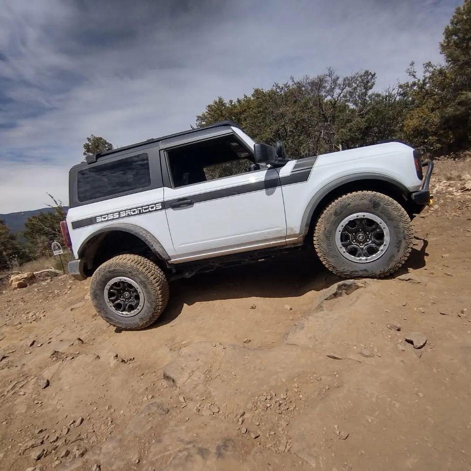 NOW AVAILABLE: BOSS "Walker Link" Sway Bar Shock System - Great ...