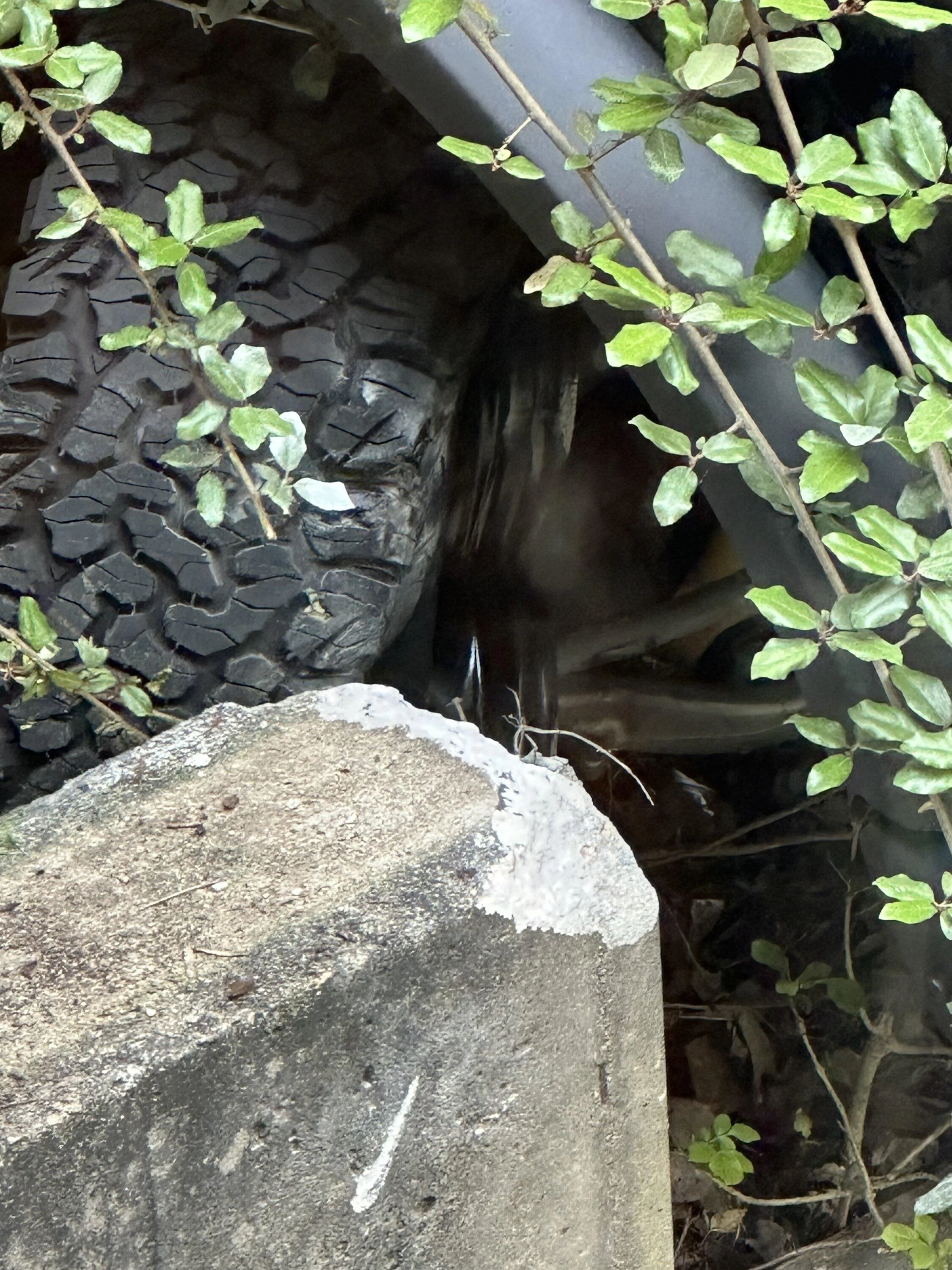 Bronco vs. Retaining Wall...Bronco wins! | Bronco6G - 2021+ Ford Bronco ...