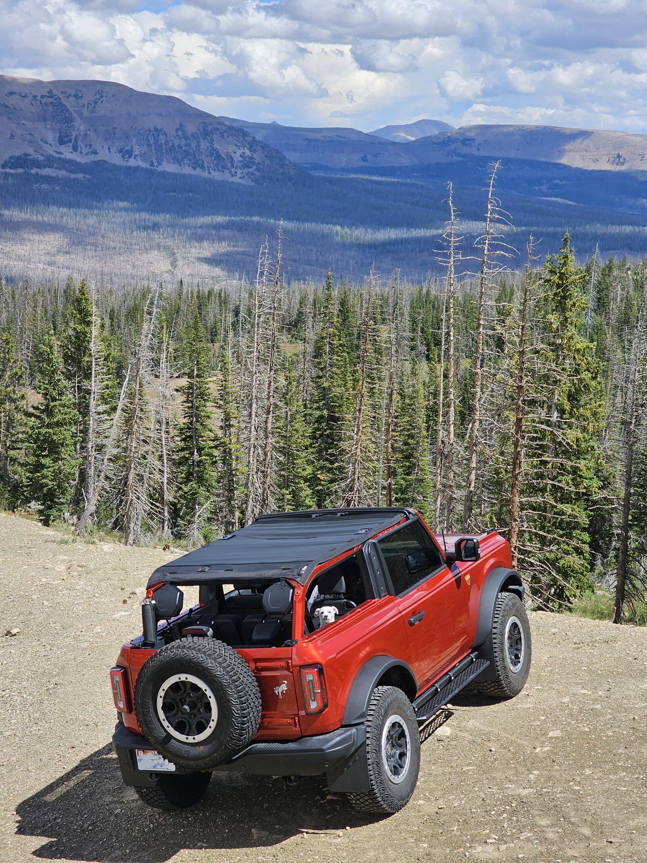 JTops New Dual Hard and Soft Top Bimini Sunshade | Page 8 | Bronco6G ...