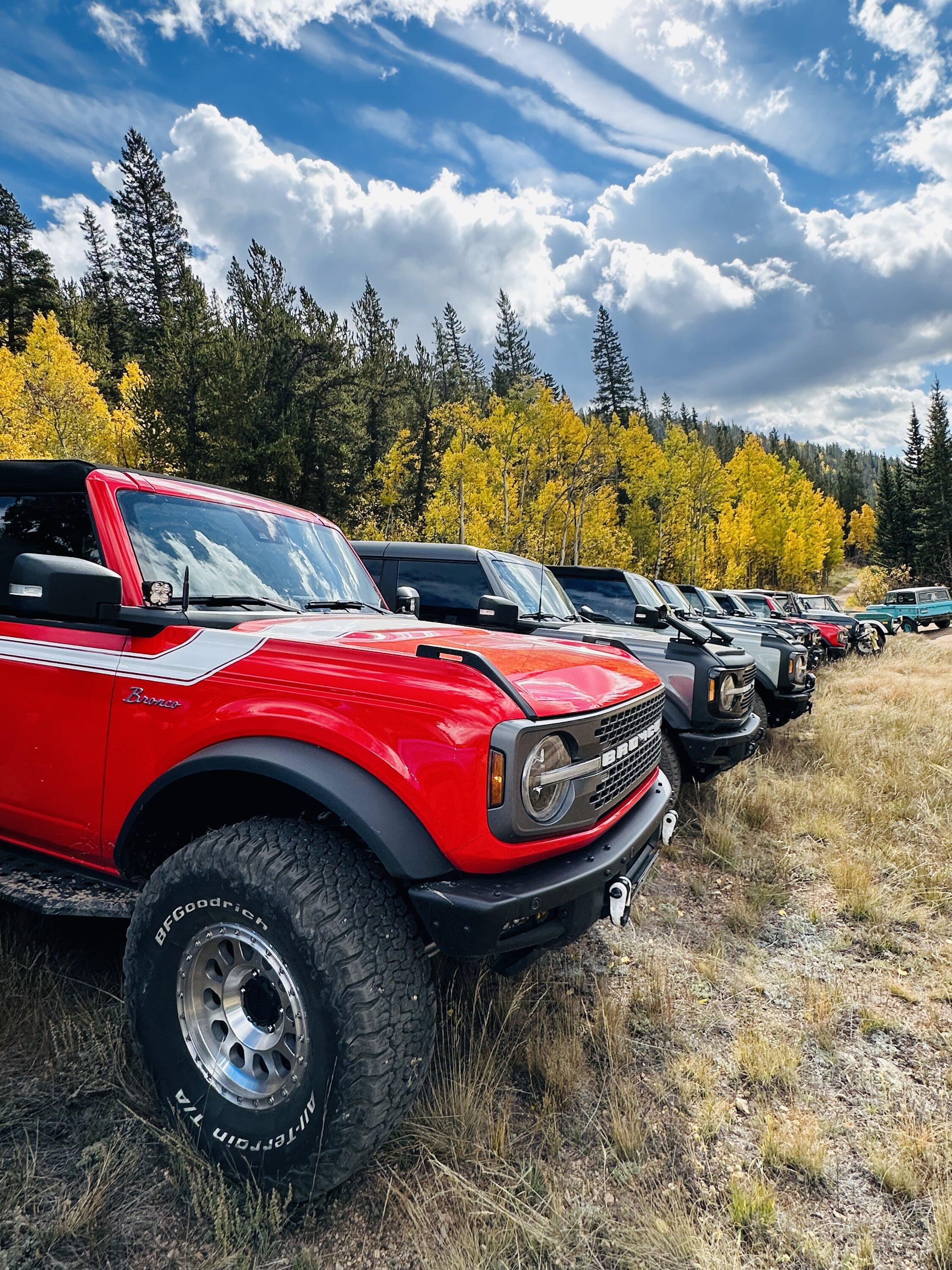 Show me your Bronco - Graphics / Decals / Wrapped Edition | Bronco6G ...