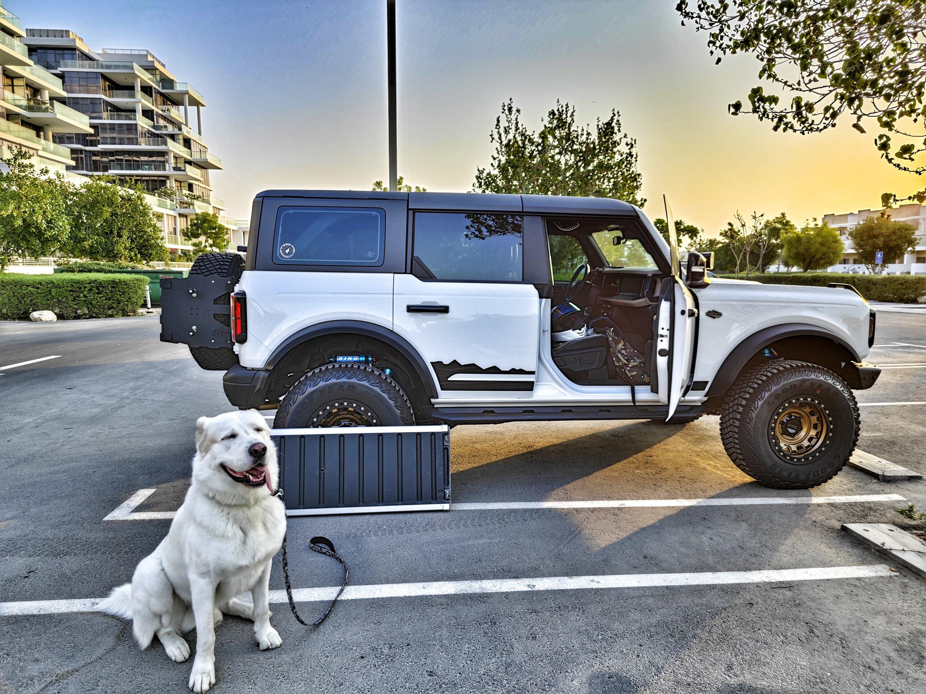 Big Dogs and your Bronco | Bronco6G - 2021+ Ford Bronco & Bronco Raptor ...