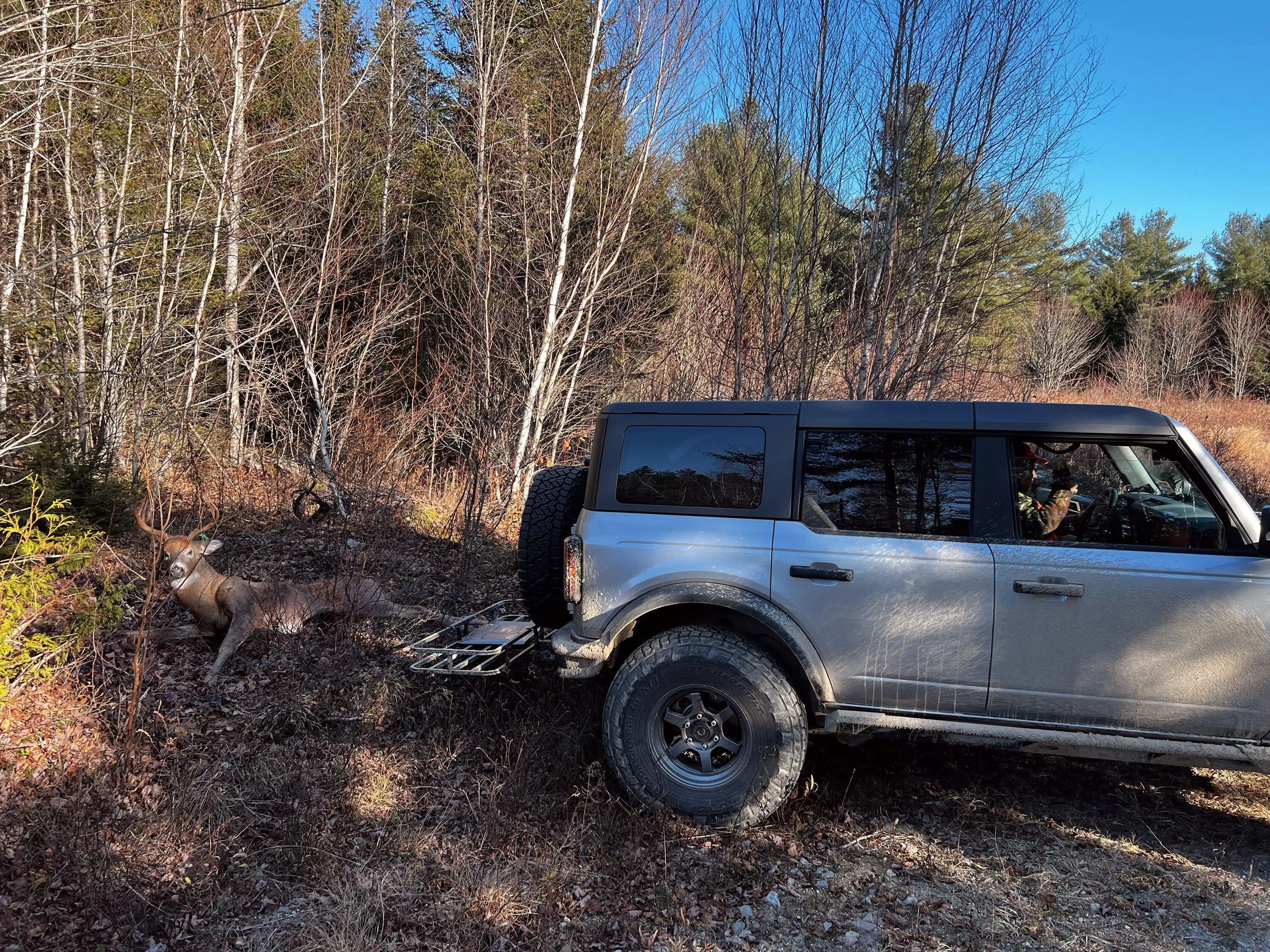 Anyone else use their Bronco as an ATV? | Bronco6G - 2021+ Ford Bronco ...