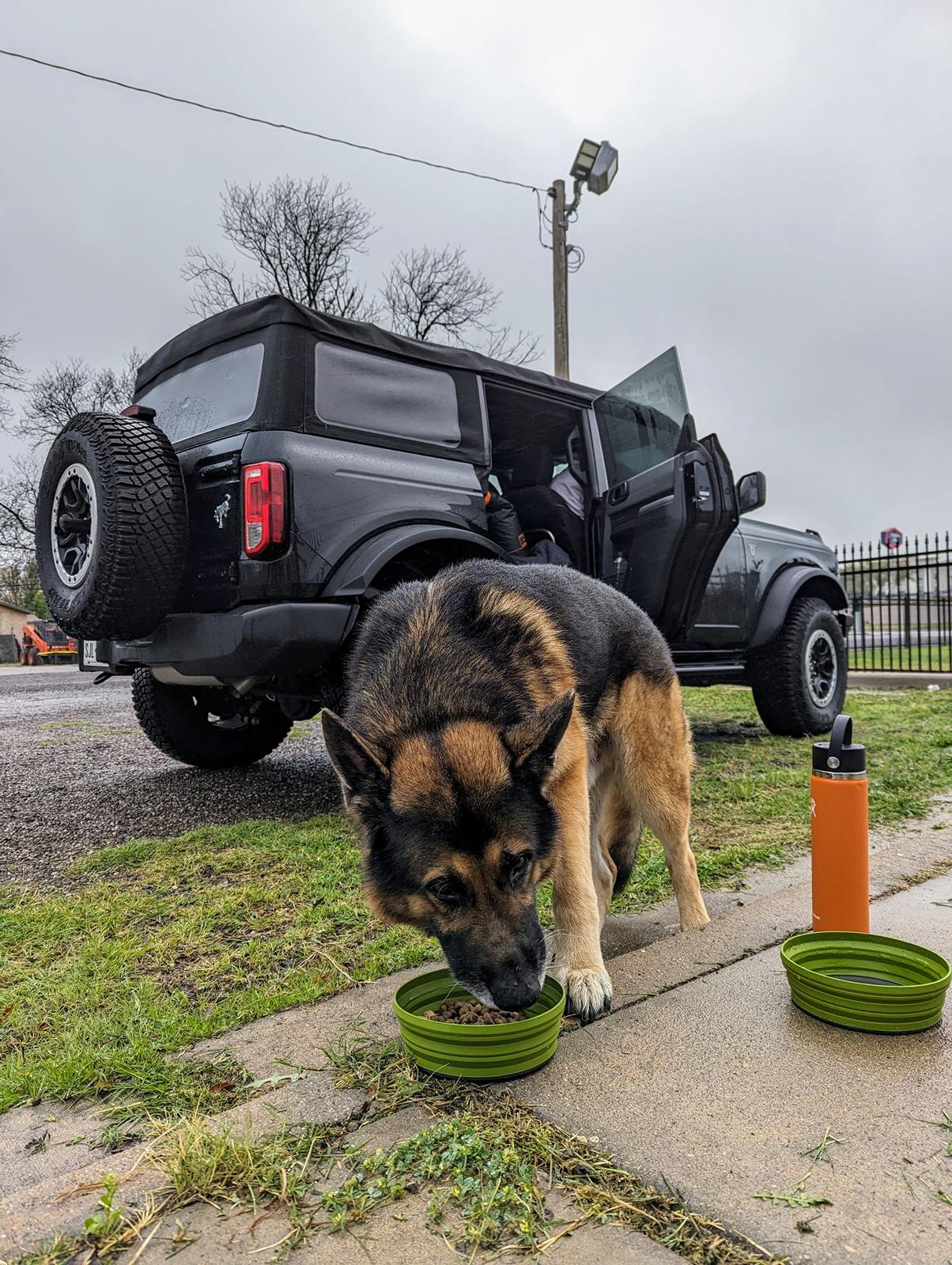 Epic road trip, but had to say goodbye to my German Shepherd before we ...