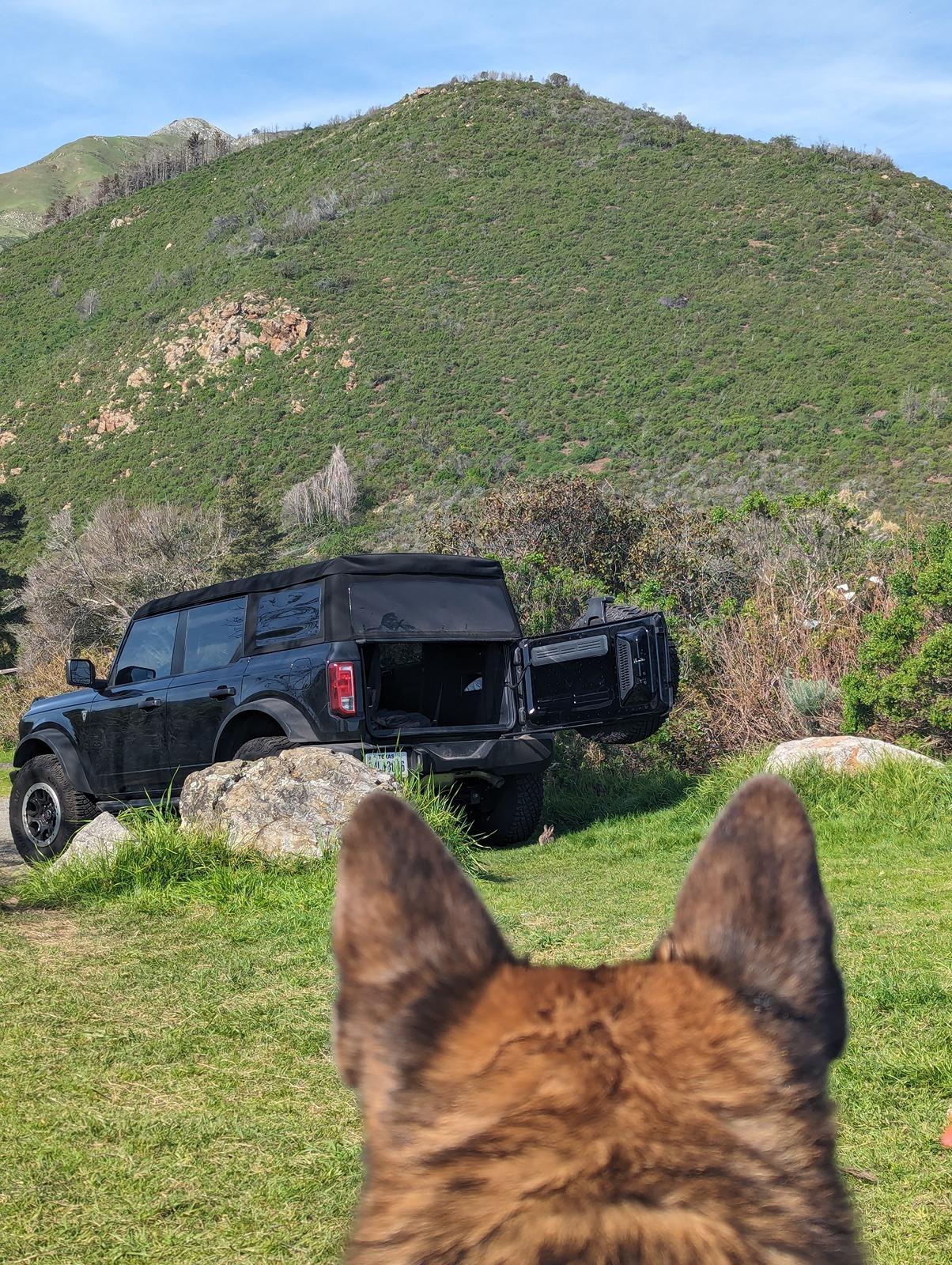 Epic road trip, but had to say goodbye to my German Shepherd before we ...