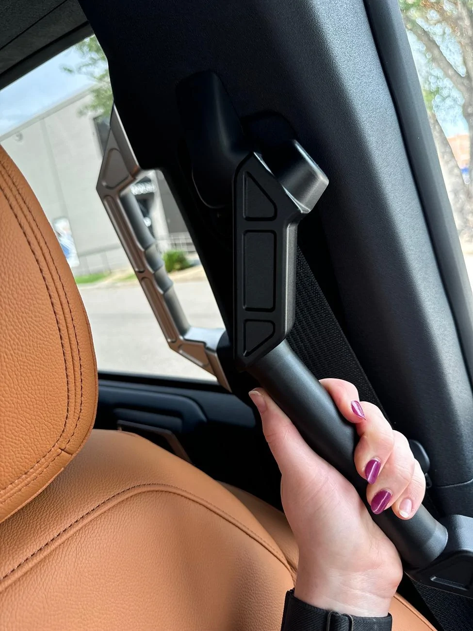 Buckin Madness Interior Grab Handle Kit - Billet Aluminum | Bronco6G ...