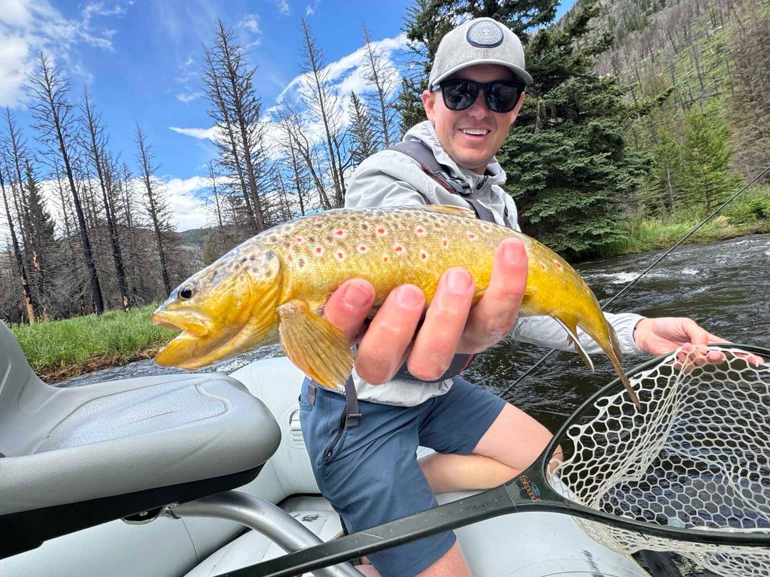 Are there sales figures by trim? I feel like I only see Big Bend, OBX ...