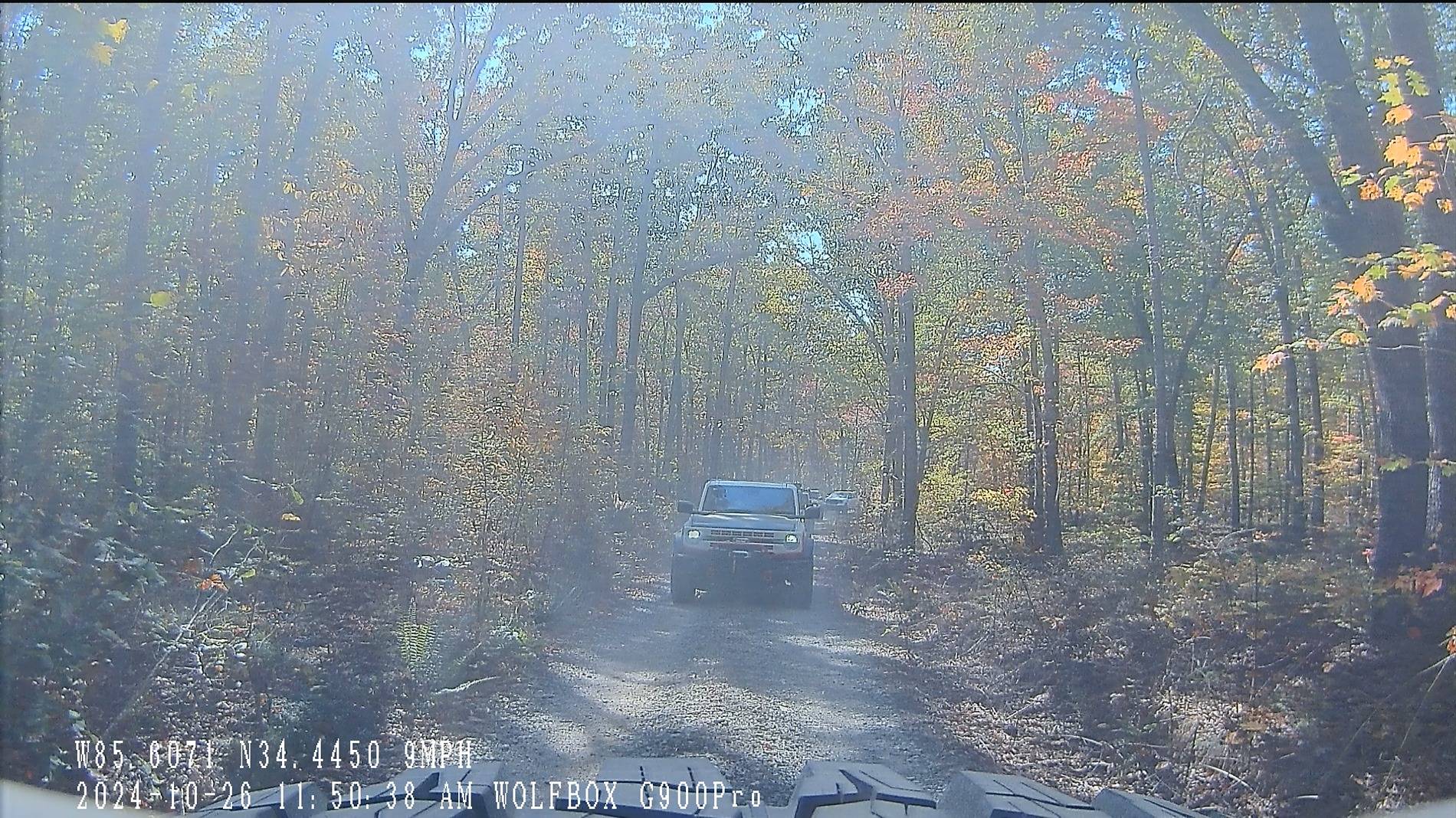 Wild Wolf - Let The Spree Begin! Black Friday Sale! | Bronco6G - 2021 ...