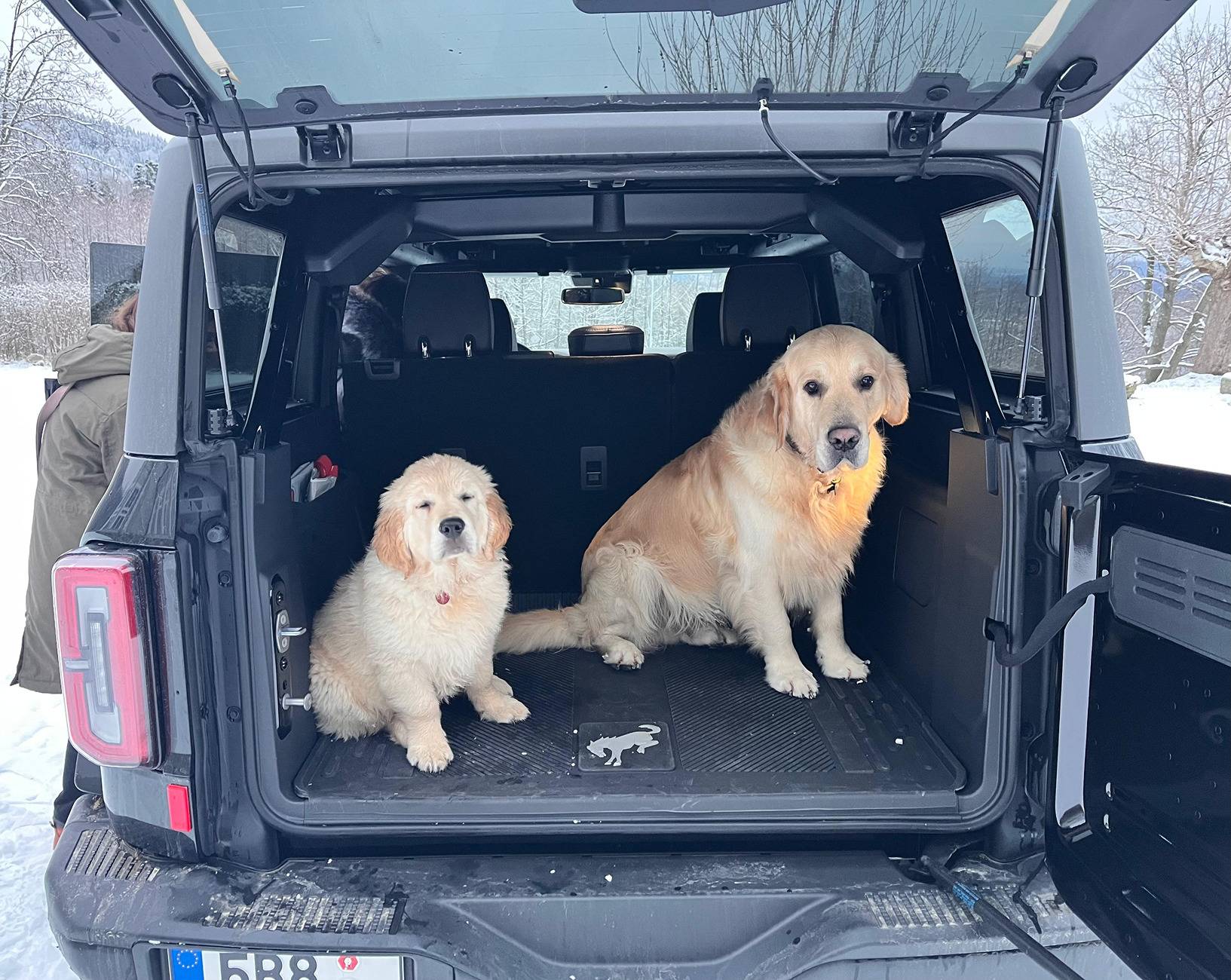 Adventure with My Ford Bronco and Golden Retrievers | Bronco6G - 2021 ...