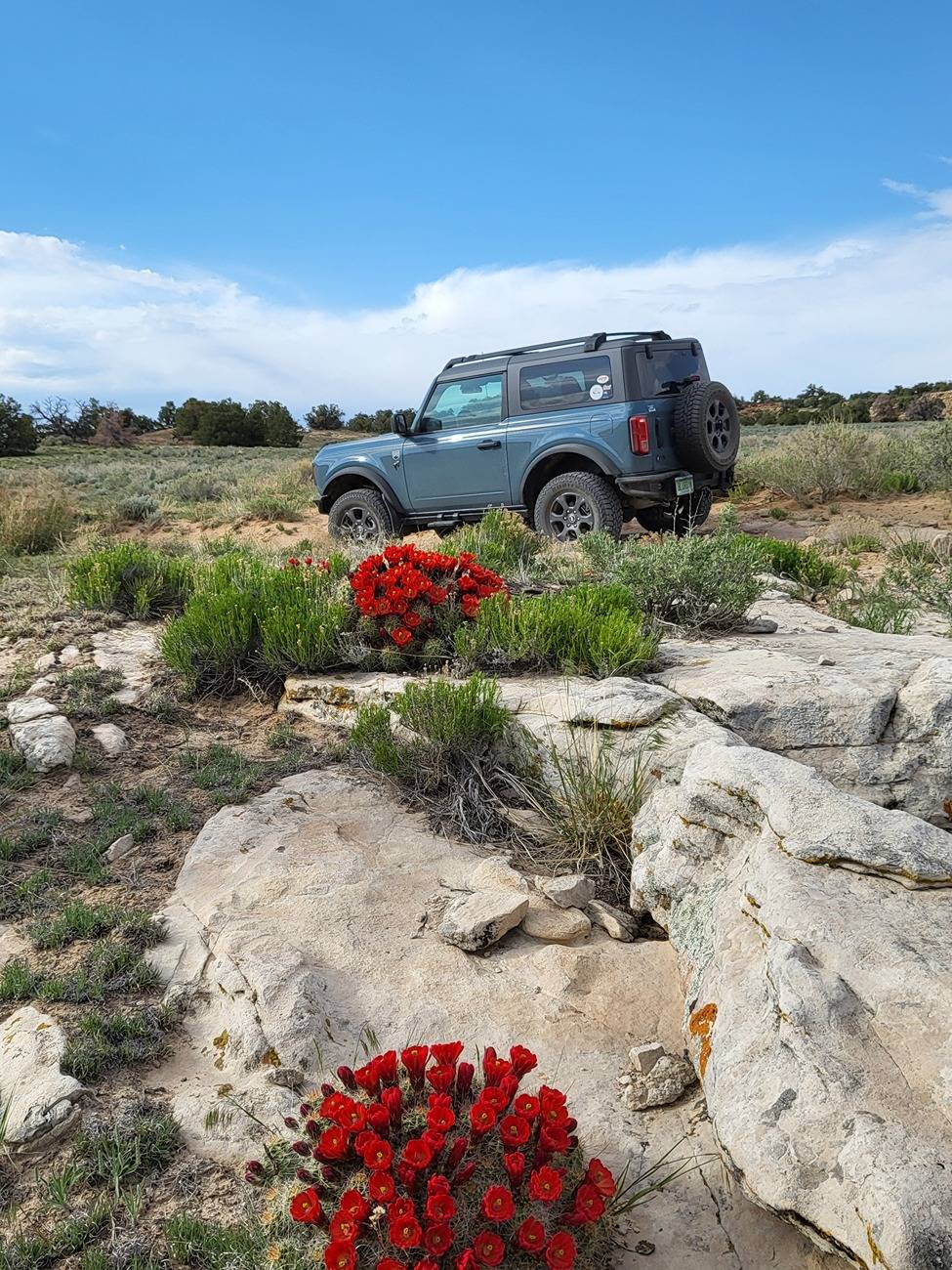 trail riding Bronco vs sXS | Bronco6G - 2021+ Ford Bronco & Bronco ...