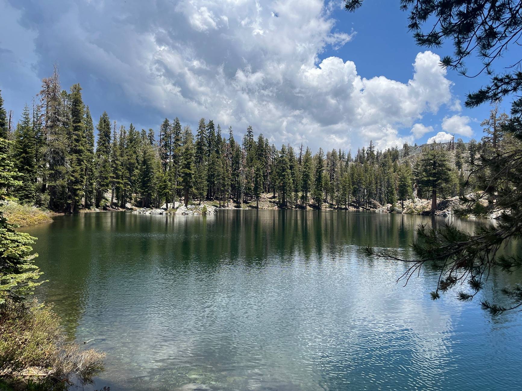 Nitto Ridge Grappler 38x11.5r17 | Page 3 | Bronco6G - 2021+ Ford Bronco & Bronco Raptor Forum ...