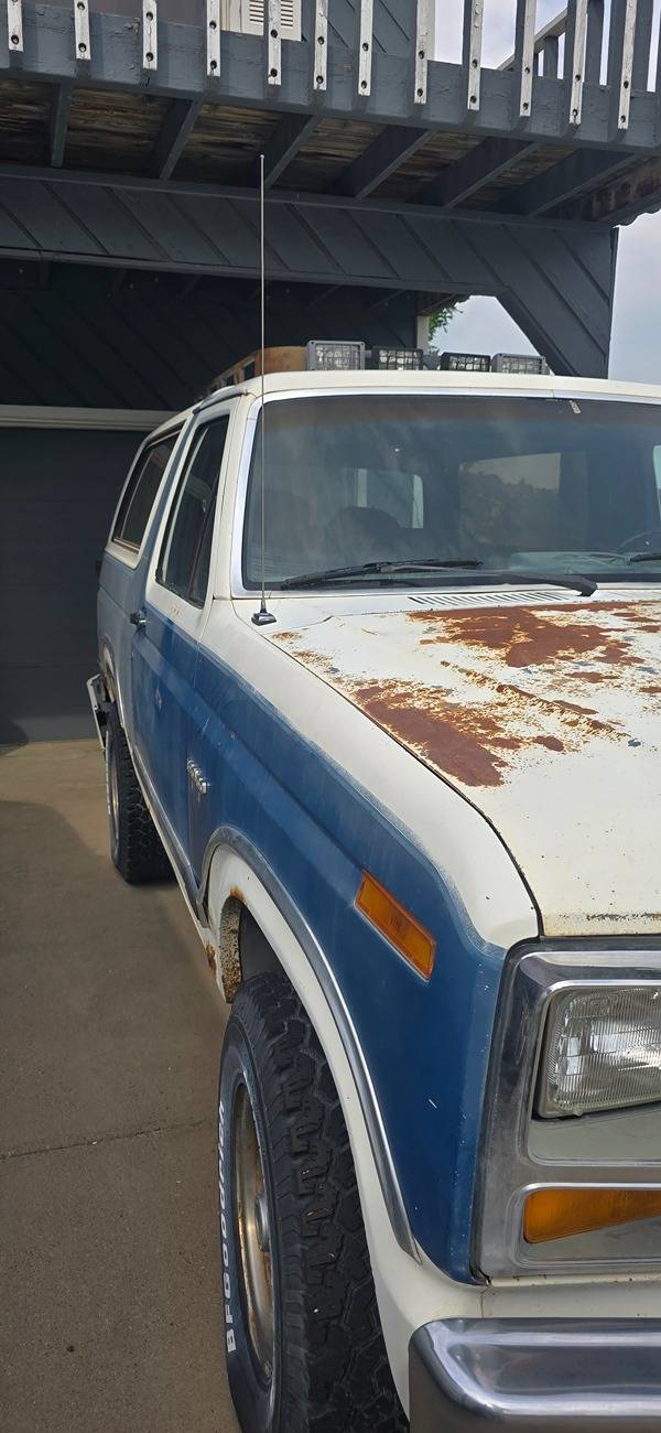 Michael Galvan | In Loving Memory – 1984 Bronco Bullnose 4x4 XLT 351 ...