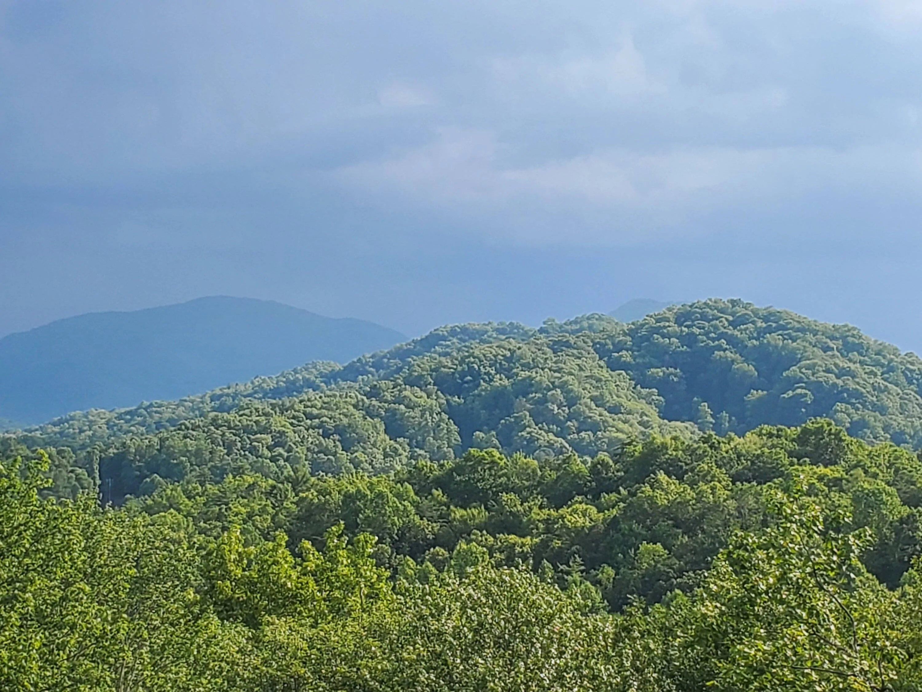 3 days, Nantahala Forest, Nantahala river, and Joyce Kilmer National ...