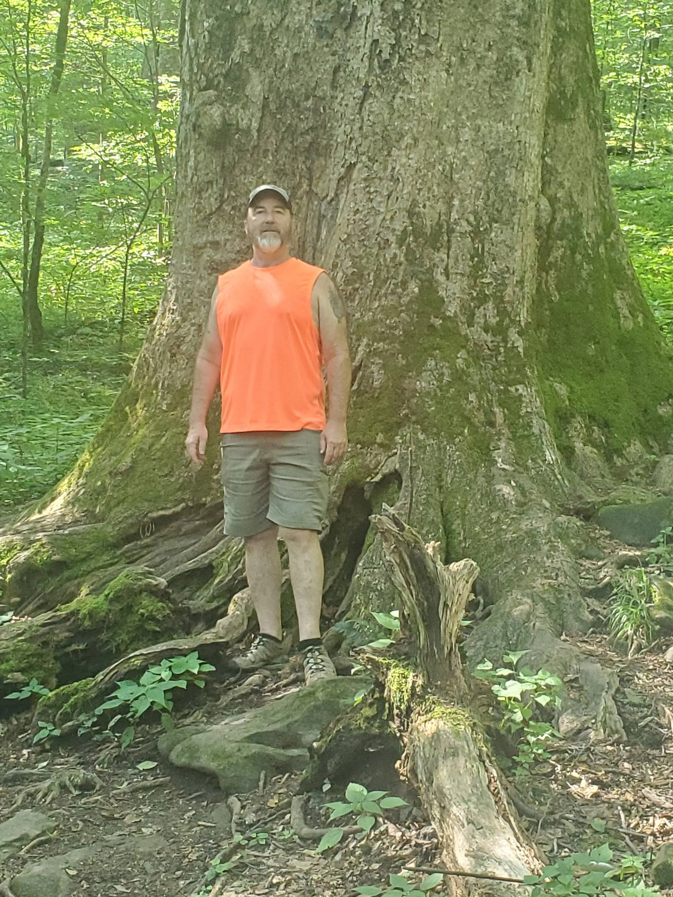 3 days, Nantahala Forest, Nantahala river, and Joyce Kilmer National ...