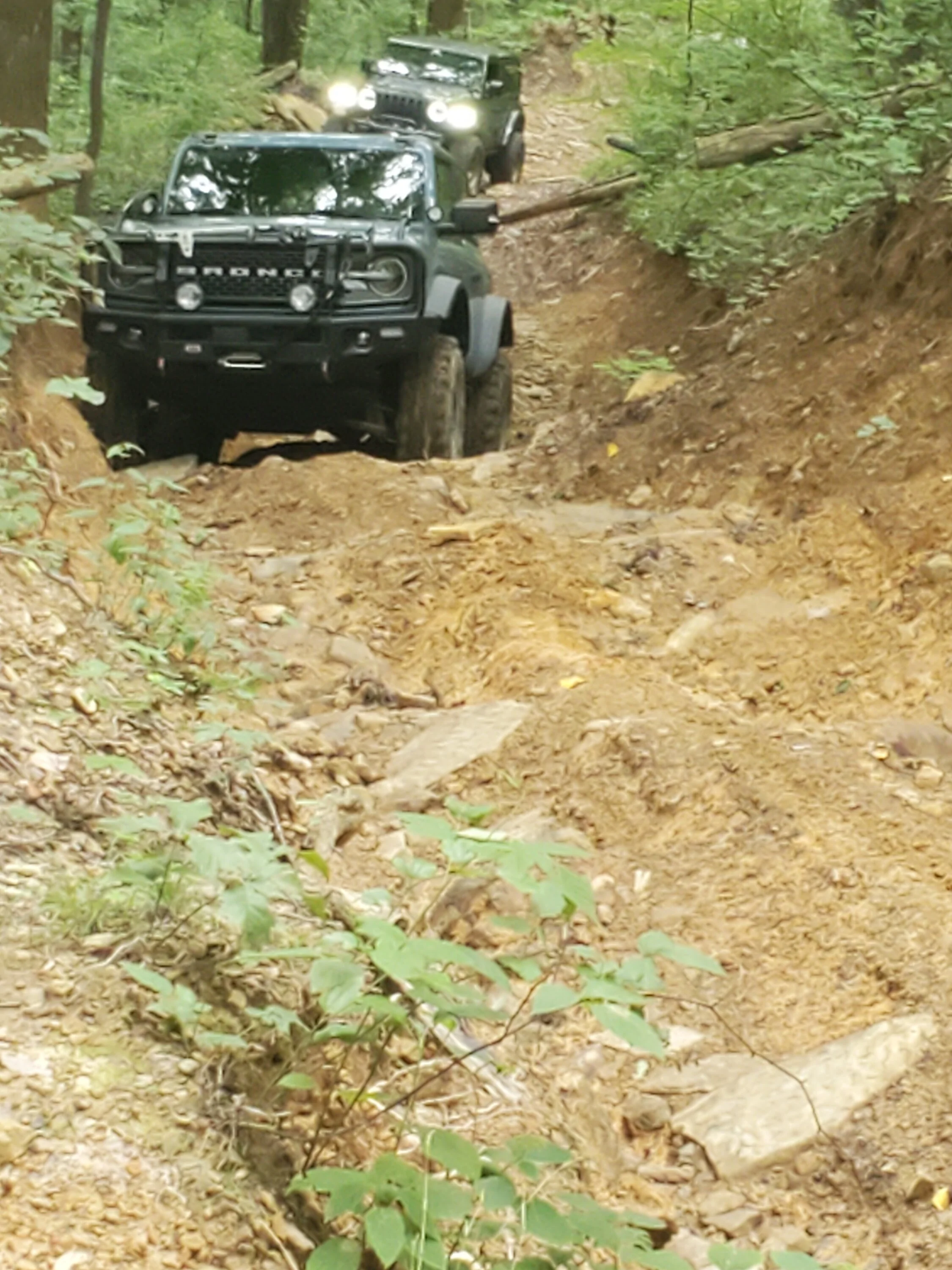 8-2-25 Windrock Dawg daze dust run; turned out to be a cool rainy day ...