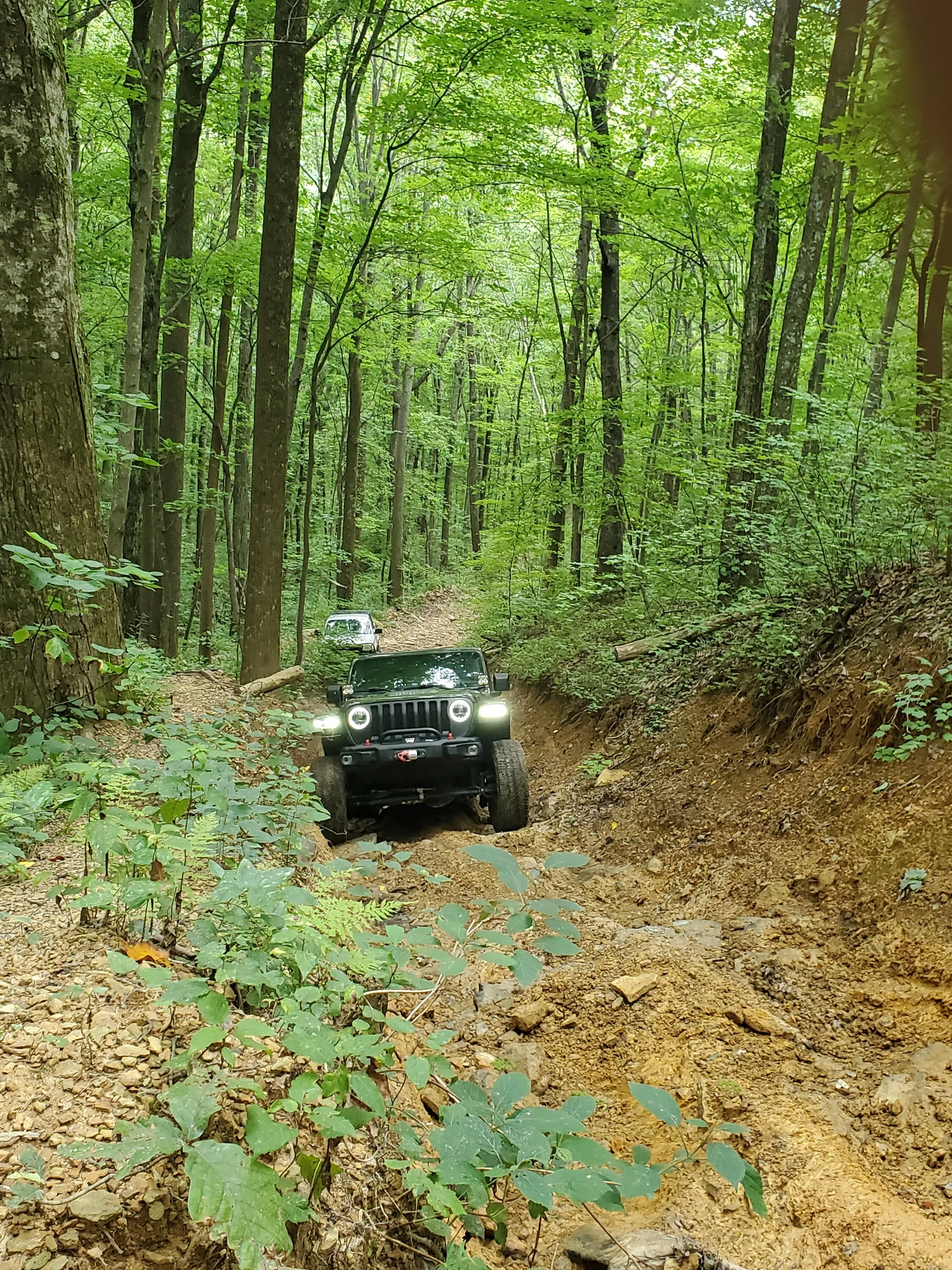 8-2-25 Windrock Dawg daze dust run; turned out to be a cool rainy day ...