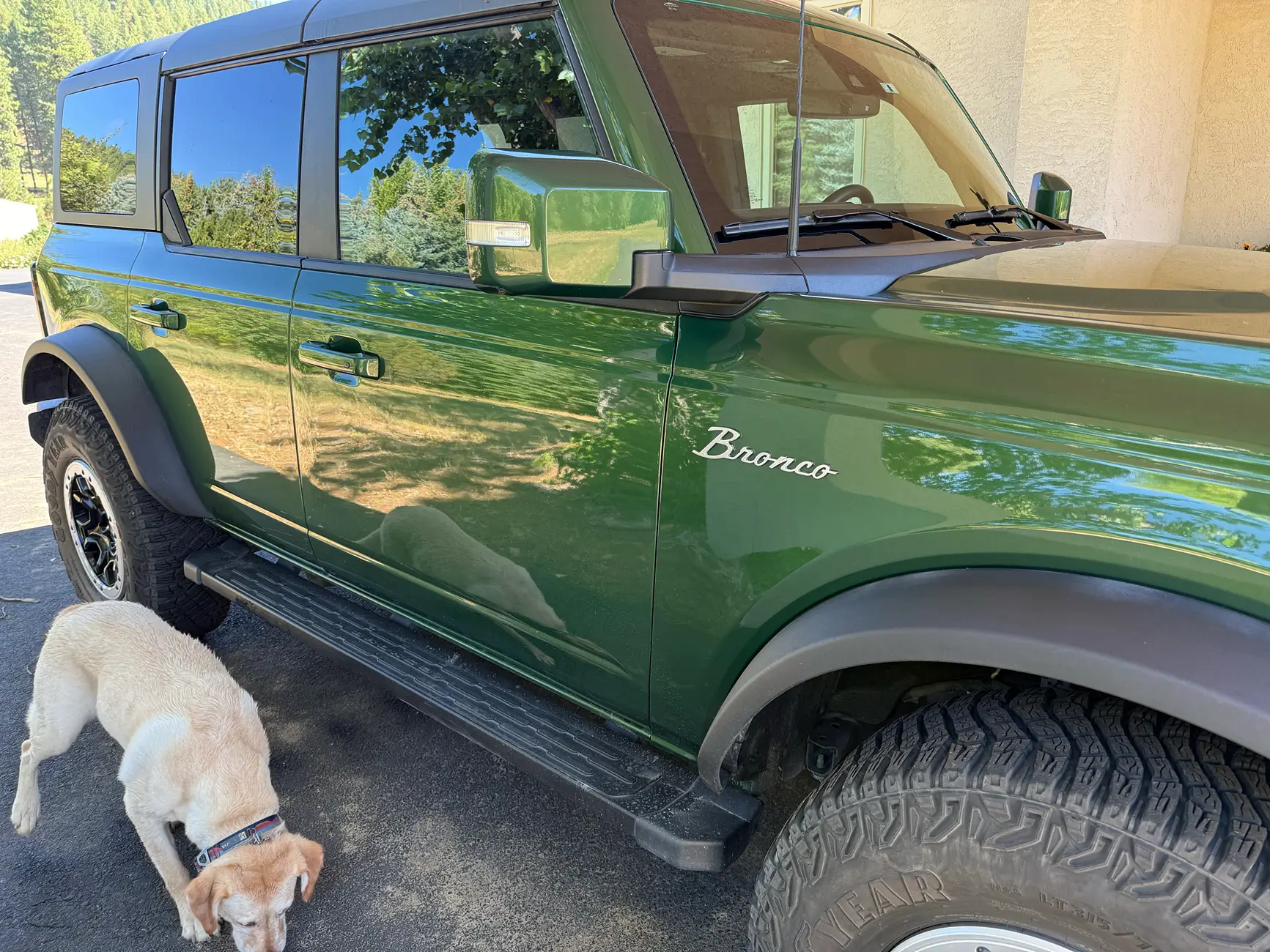 Making my own retro Bronco script emblem template | Bronco6G - 2021 ...