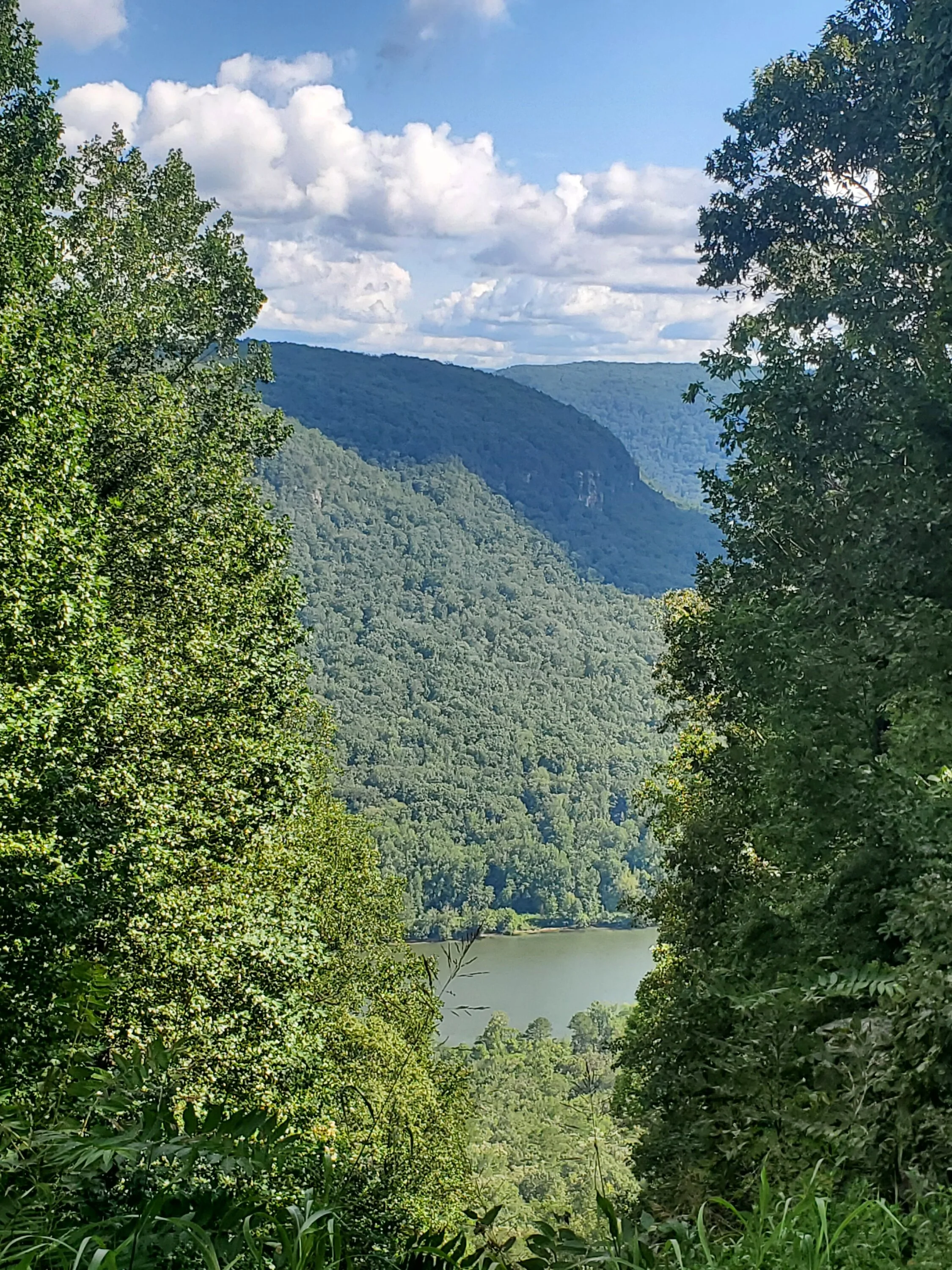 8/23/2025 Prentice Cooper Wildlife Managment area. | Bronco6G - 2021 ...