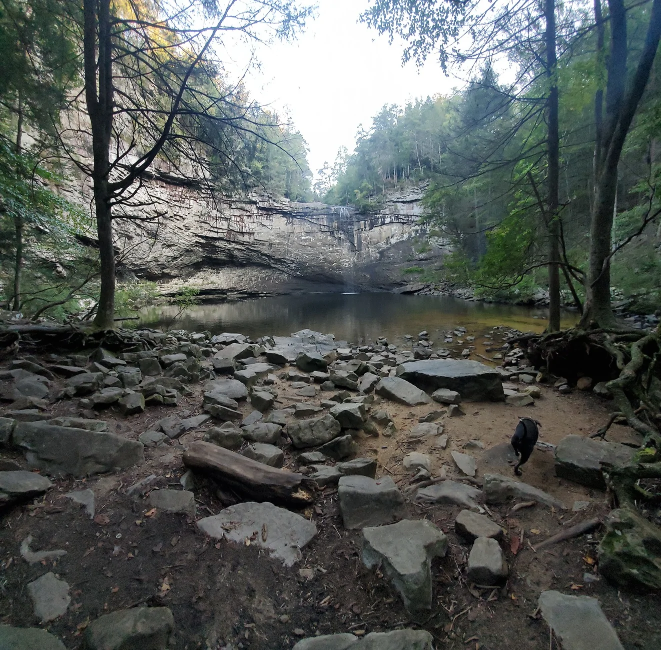 Foster Falls, Coalmont OHV TN trip report, my 3z Baja Mickey Thompson ...
