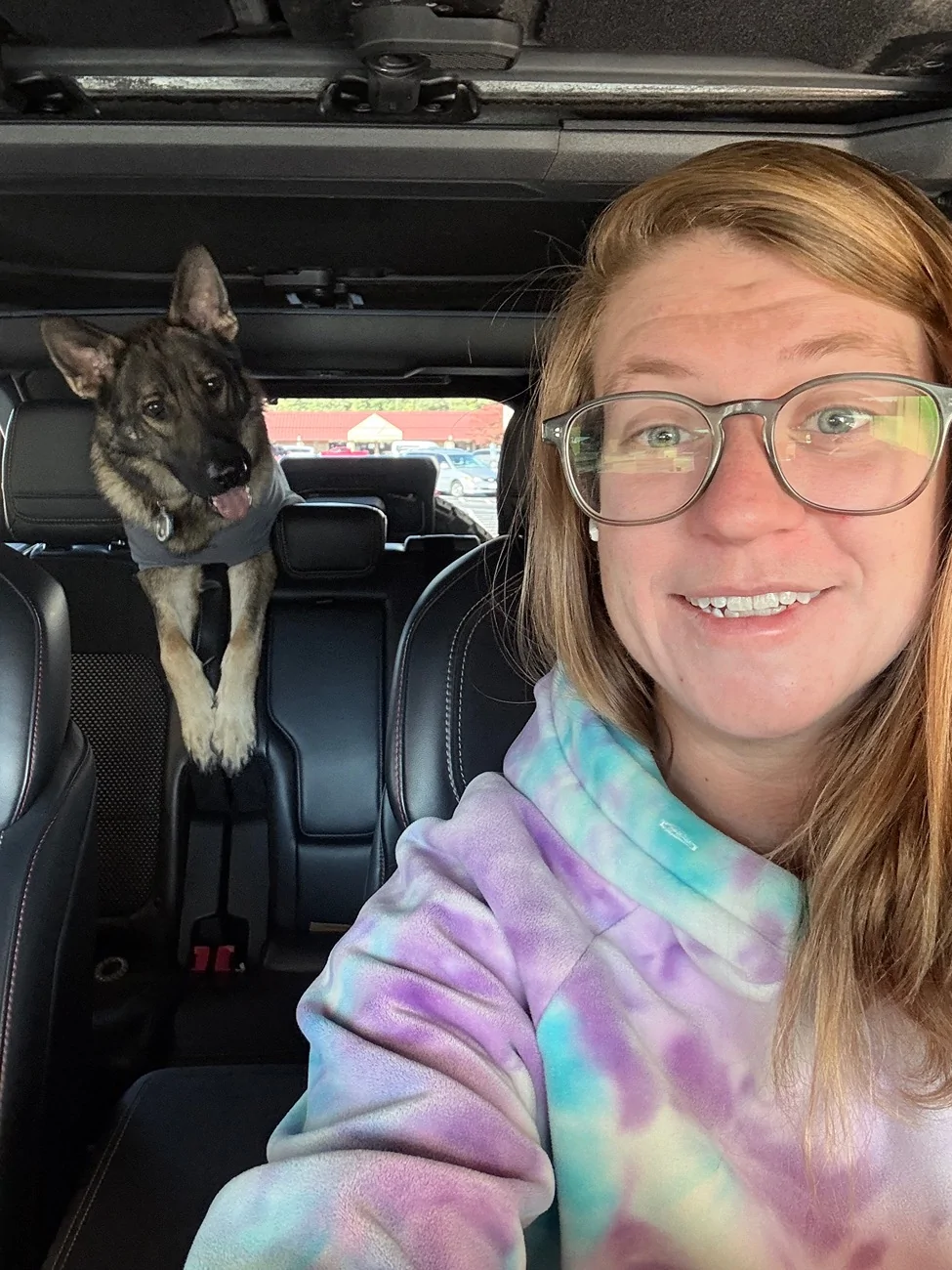 Heininger Portable PET Twistep Dog Hitch Step – 3-Month Review (w/ 3 ...