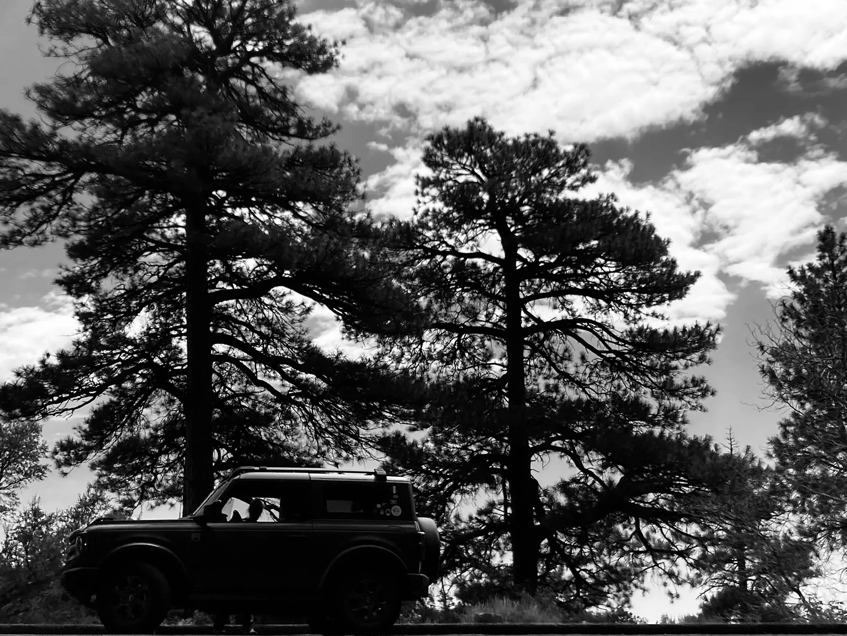 The Official Bronco6G Photo Challenge Game 📸 🤳 | Page 414 | Bronco6G ...