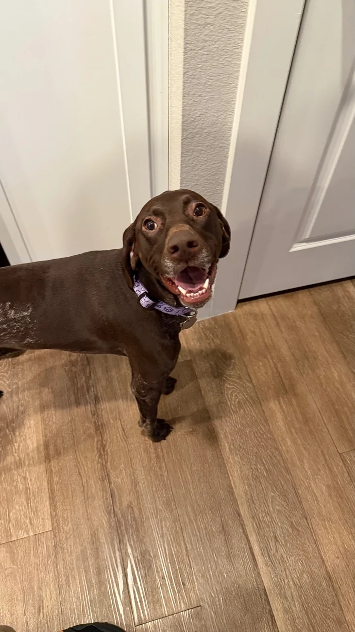 🚨 NEW $1K GIVEAWAY: Win a Set of EZ4X4 Alpha Aluminum Tube Doors + Your ...