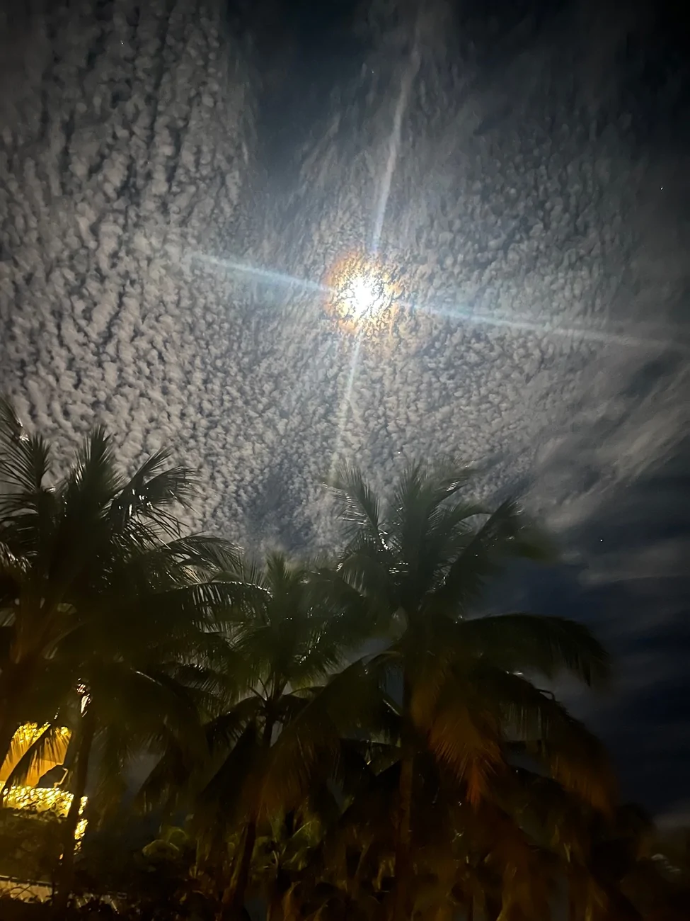 Two Door Tuesday Lets See Them Two Doors | Page 84 | Bronco6G - 2021 ...