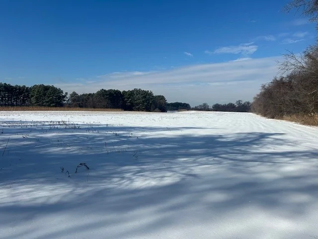 The Official Bronco6G Photo Challenge Game 📸 🤳 | Page 440 | Bronco6G ...