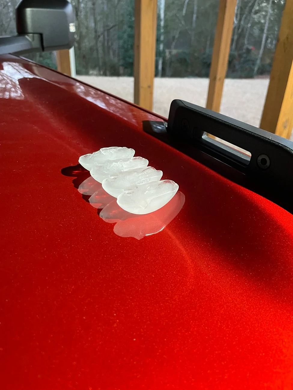 The Official Bronco6G Photo Challenge Game 📸 🤳 | Page 440 | Bronco6G ...