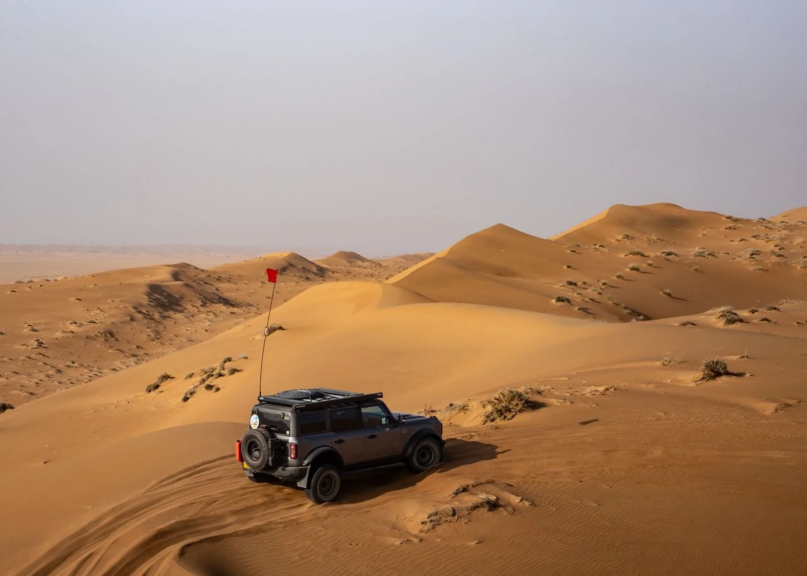 2023 Bronco Wildtrak Sasquatch Build – “Venom” -- Daily Driven | Desert ...
