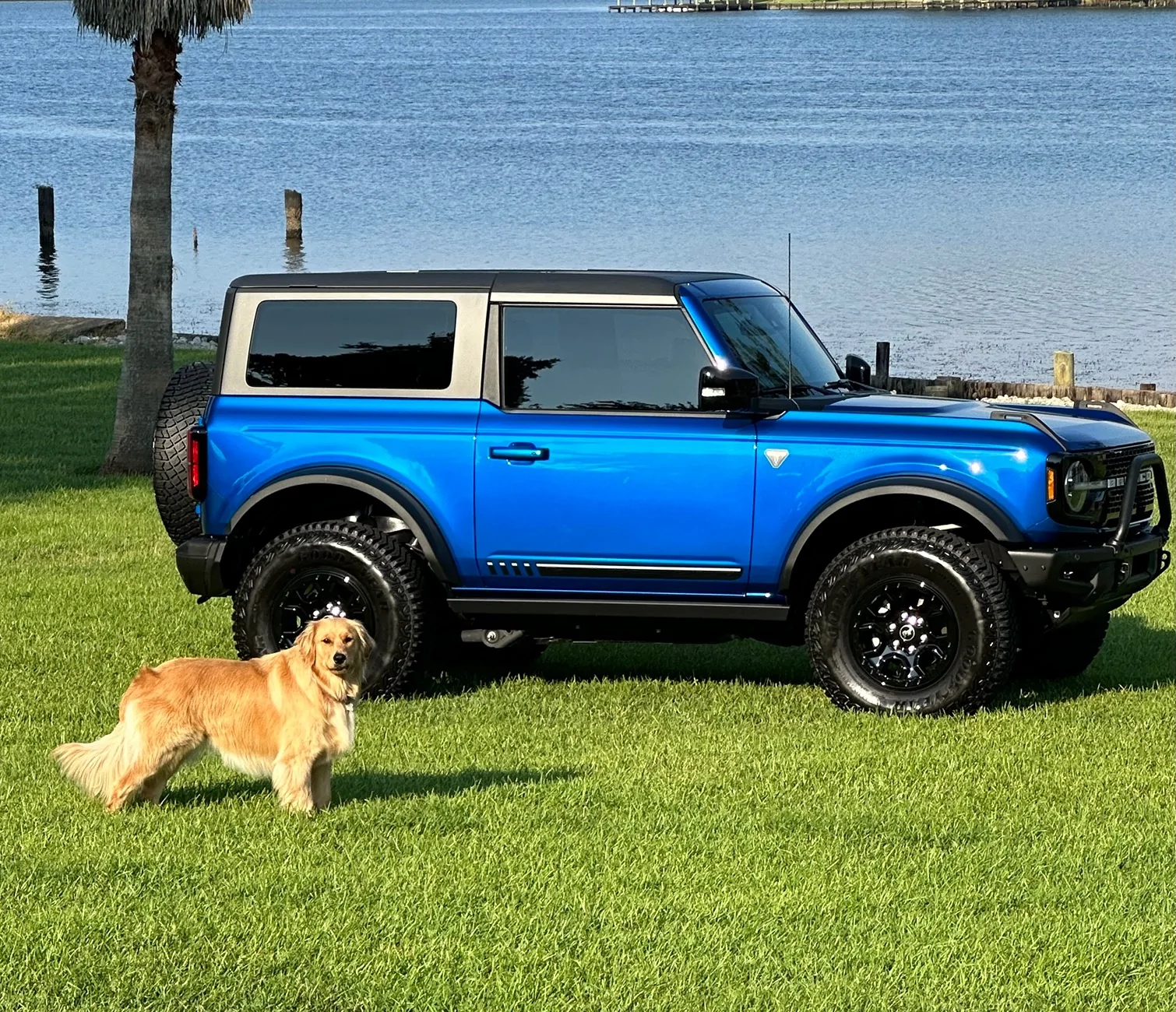 Mississippi - 2021 First Edition Bronco two door Vin#0007 | Bronco6G ...
