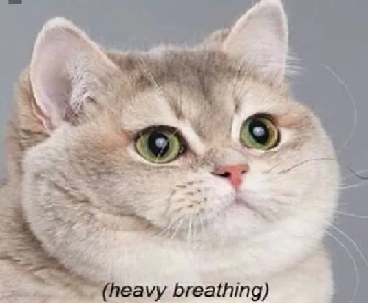 2021 Bronco Quick Reference Guide! PDF 📄 | Bronco6G - 2021+ Ford Bronco ...