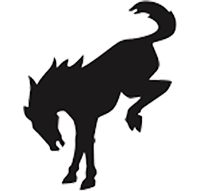 Weekend Warriors Comparison Test: 2024 Bronco Sasquatch tops Land ...