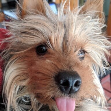 Considering buying new 2024 Bronco, thoughts on quality issues and ...