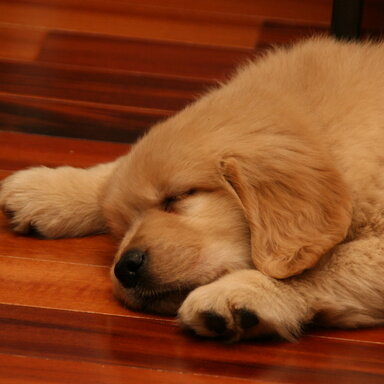 Proper sequence for 5 tire rotation | Bronco6G - 2021+ Ford Bronco ...