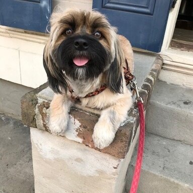The IRS tax deduction for 6,000-lb SUVs - can a "loaded" Bronco with ...
