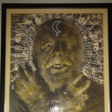 "Braptor" Graphics Kit from Underground Graphics DIY Installed ...