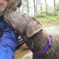 Proper sequence for 5 tire rotation | Bronco6G - 2021+ Ford Bronco ...
